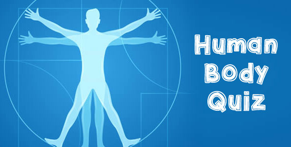Human Body Quiz For Kids With Answers Human Body Quiz For Kids With Answers